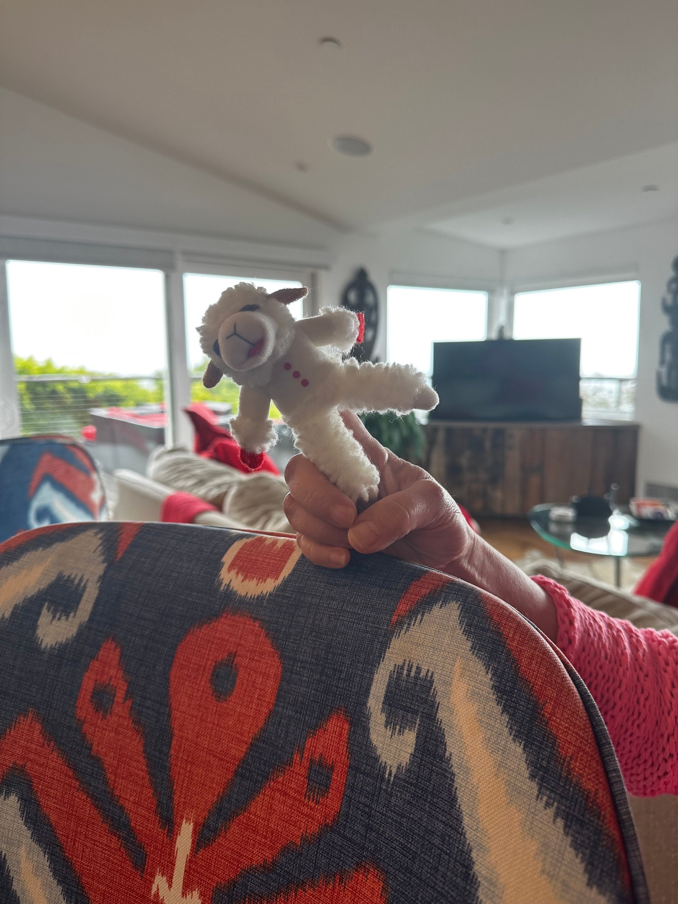 VINTAGE Mini Puppet Lamb Chop limited Quantities - Etsy