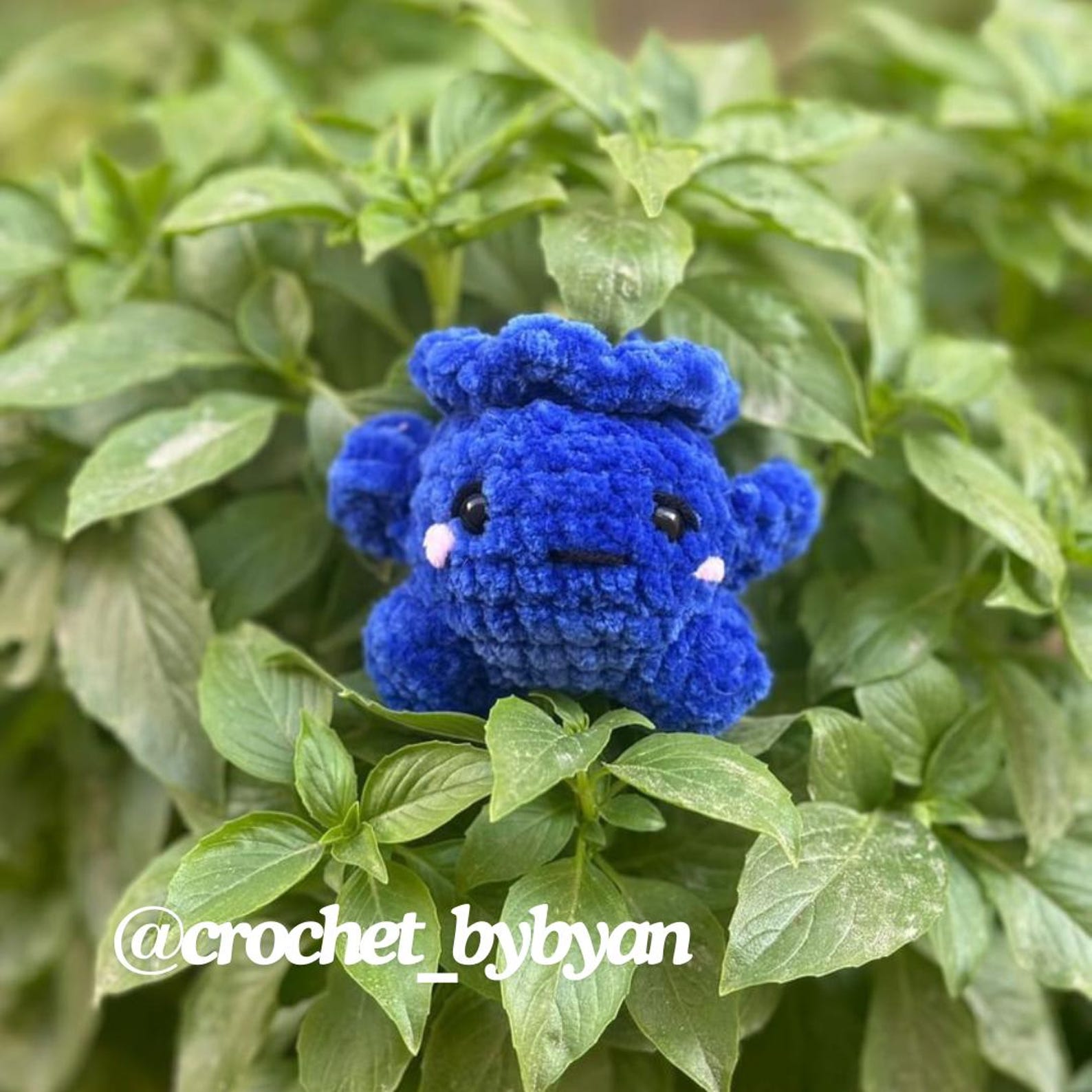 Blueberry Buddies Pattern PDF Digital Download Only - Etsy