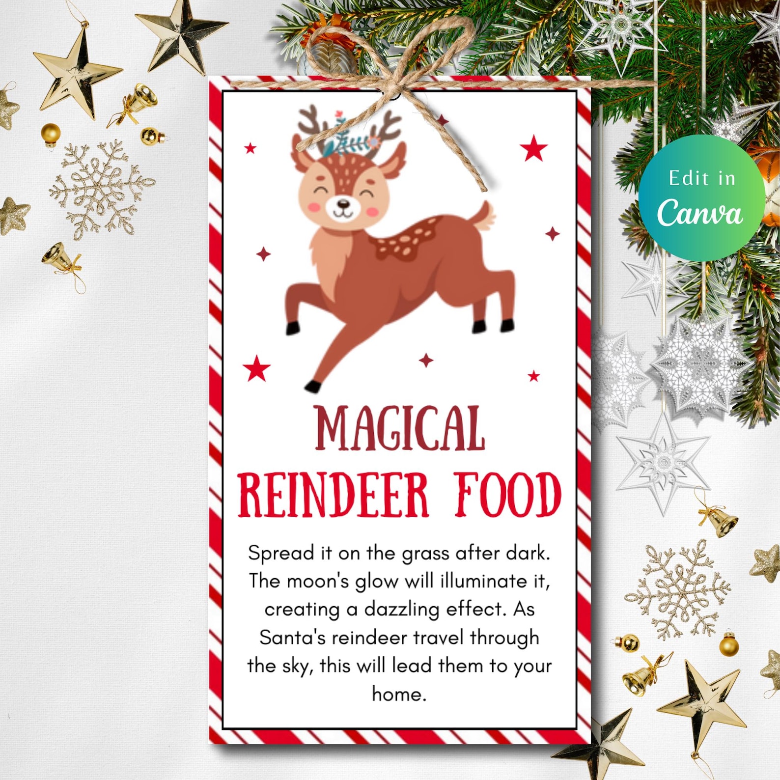 Editable REINDEER FOOD Tag, Christmas Treat TAG, Christmas Reindeer ...