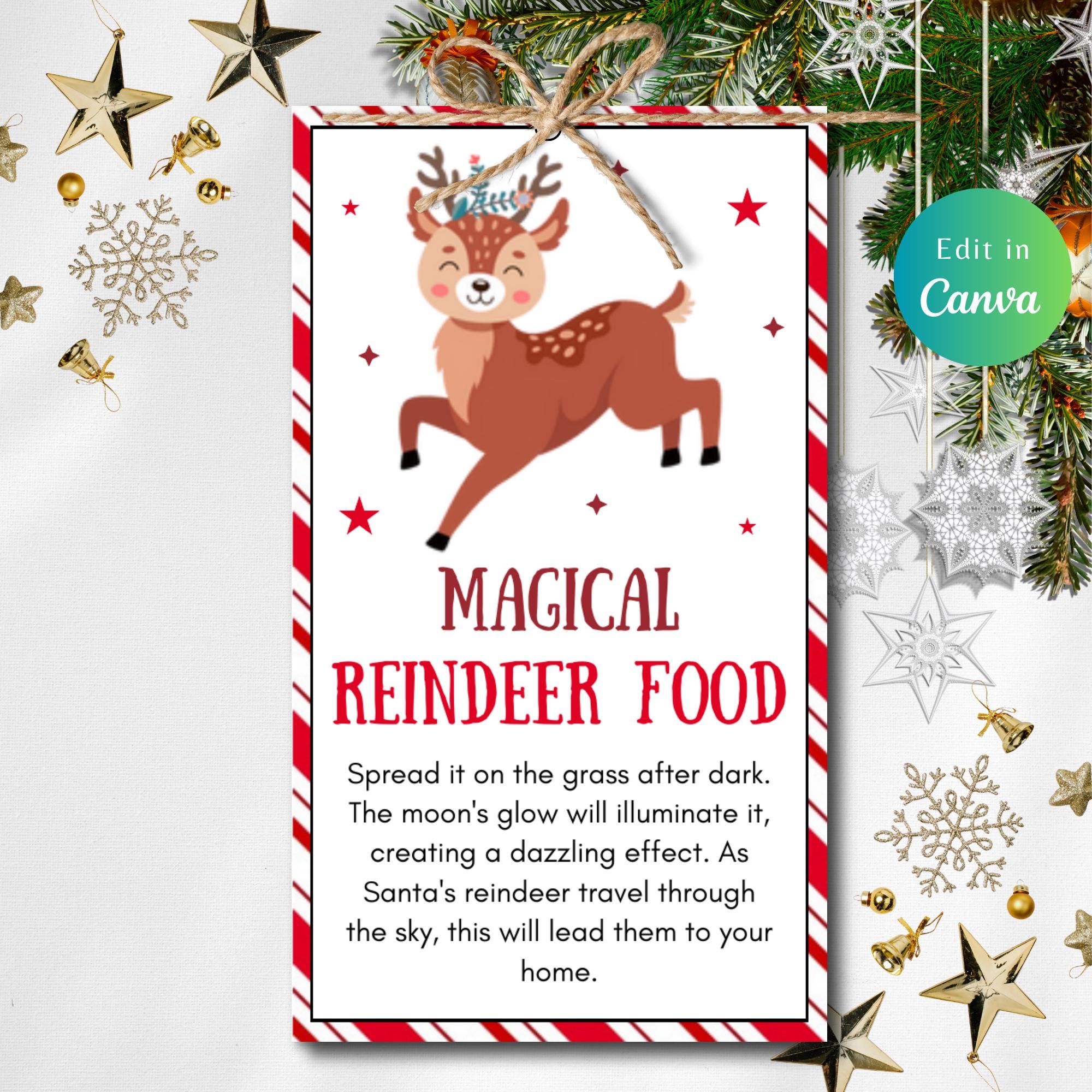 Editable REINDEER FOOD Tag, Christmas Treat TAG, Christmas Reindeer ...