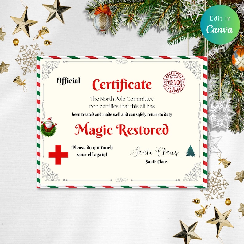Editable ELF RECOVERY Certificate of Wellness If Touched Lost Magic ...