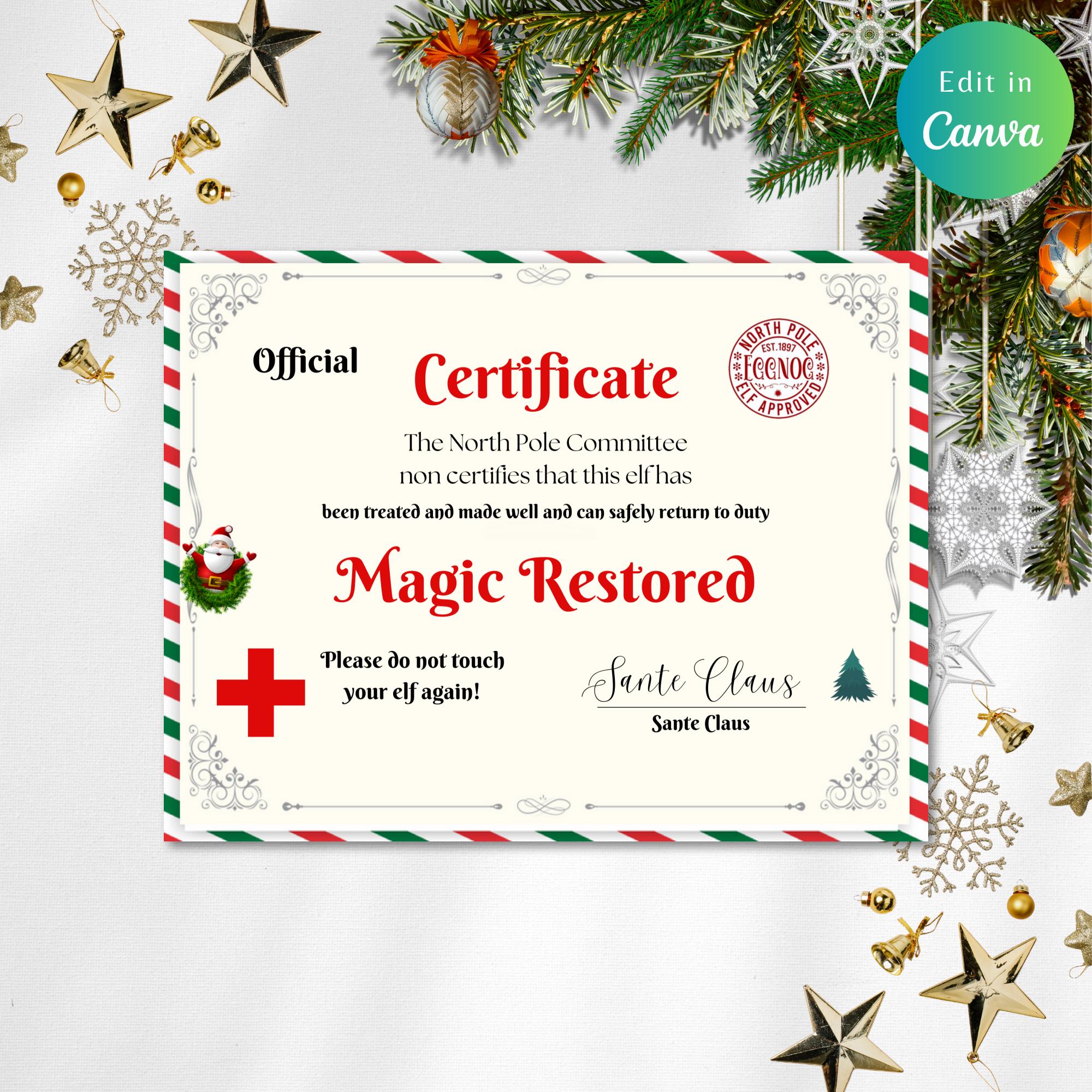 Editable ELF RECOVERY Certificate of Wellness If Touched Lost Magic ...