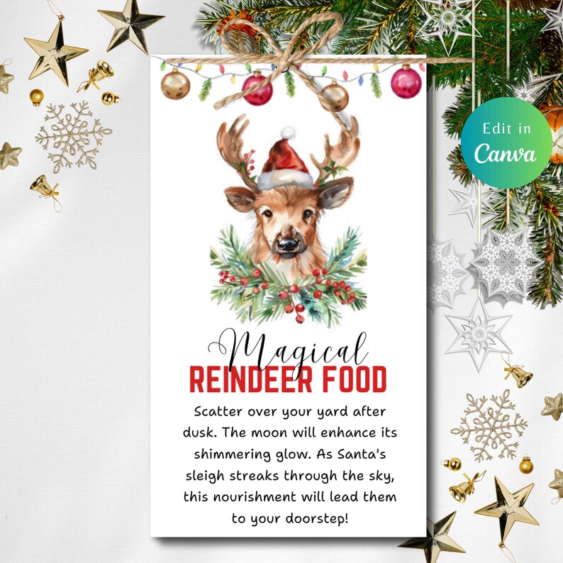 Editable REINDEER Food Tag, MAGICAL CHRISTMAS Gift, Printable Kids ...