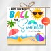 Editable Hope You Have a Ball for Summer, End of School Year Tag ...