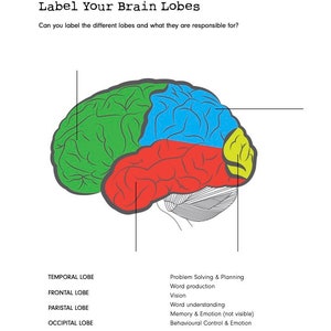 The Brain Kids' Activities and Worksheets - Etsy