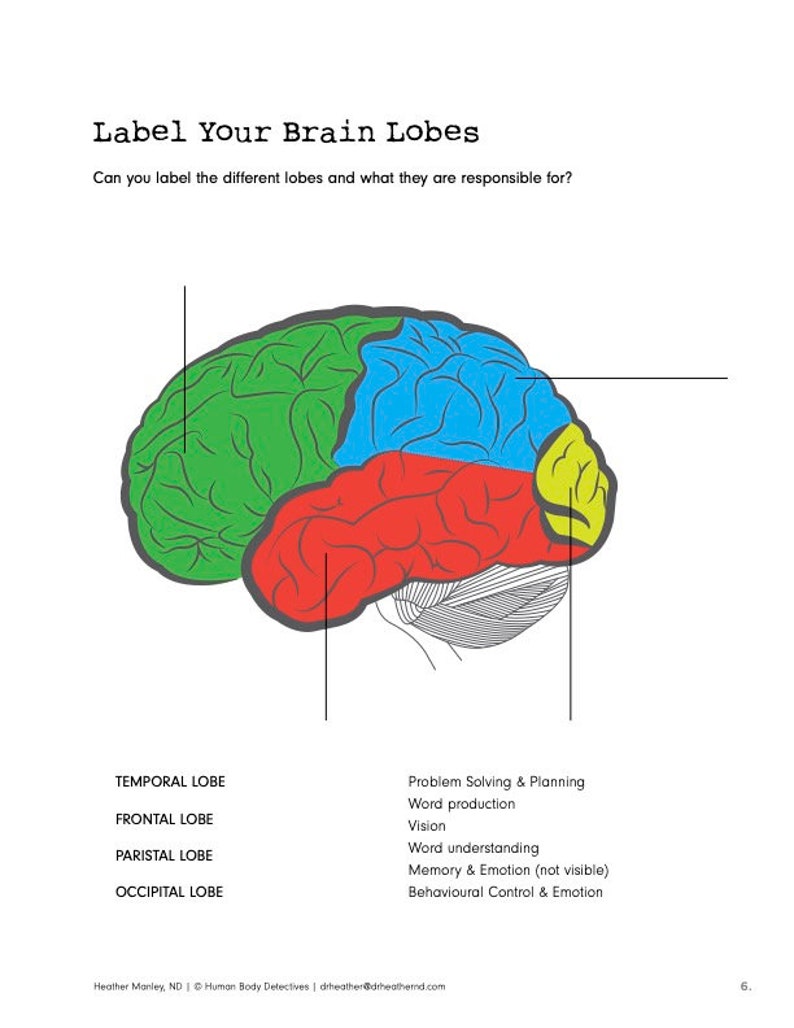 The Brain Kids' Activities and Worksheets - Etsy
