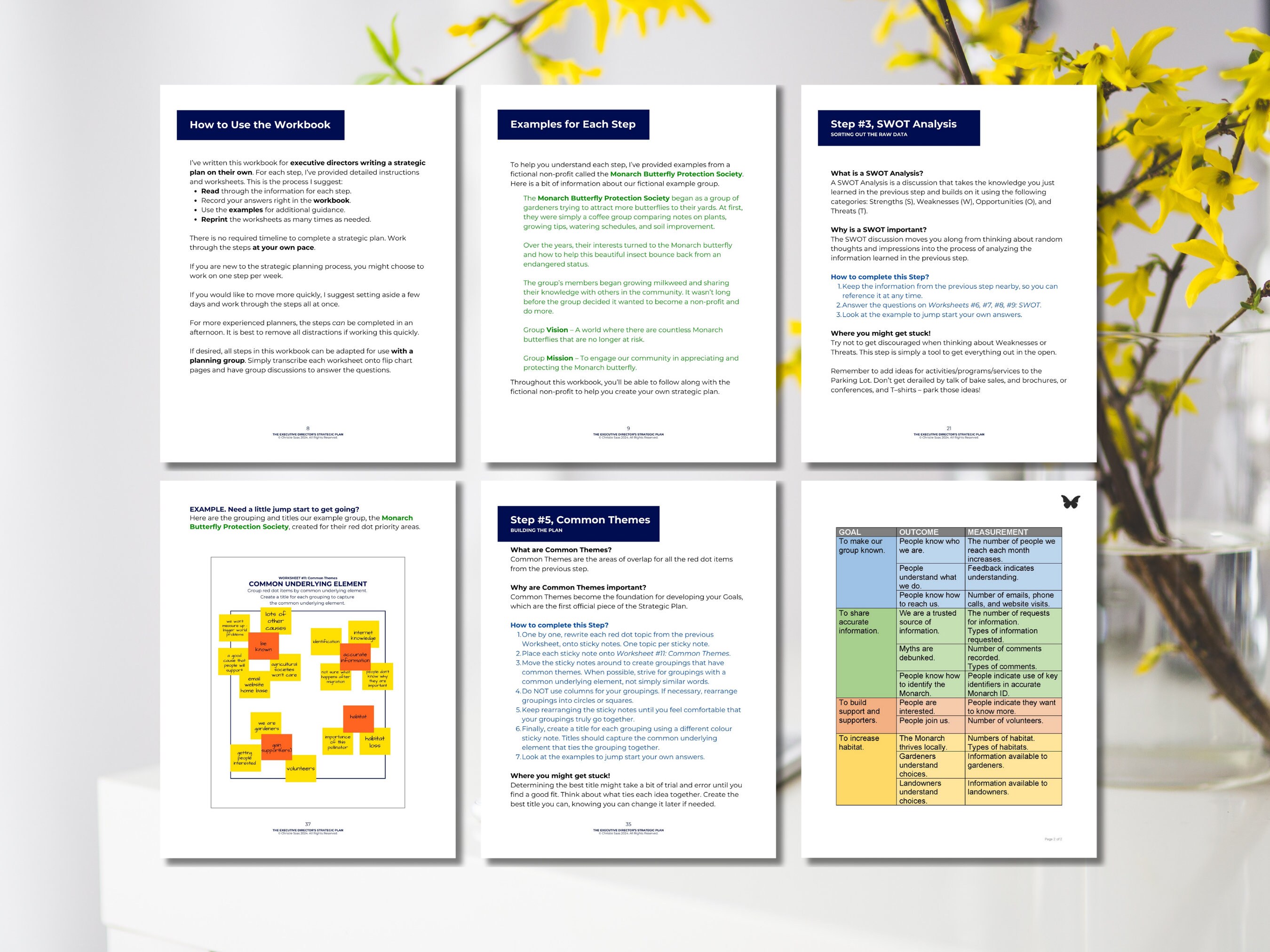 The Executive Director's Strategic Plan | Planning Workbook | for ...