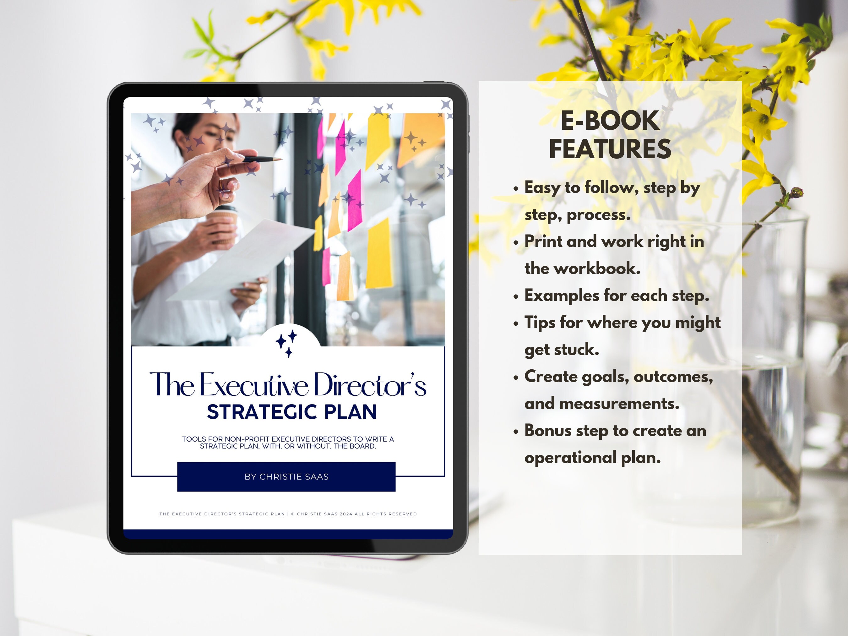 The Executive Director's Strategic Plan | Planning Workbook | for ...