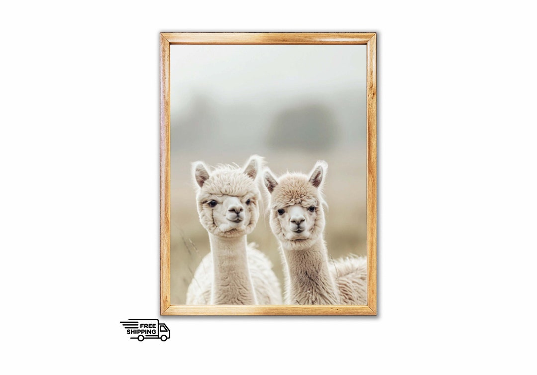 Alpaca Printable Art, Llama Digital Print, Llamas Wall Decor, Llama ...
