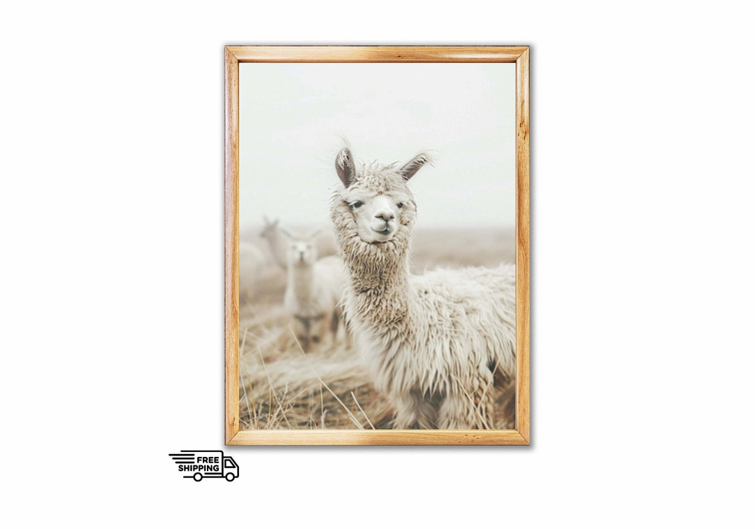 Llama Wall Art, Llama Nursery Decor, Llamas Theme Print, Alpaca ...