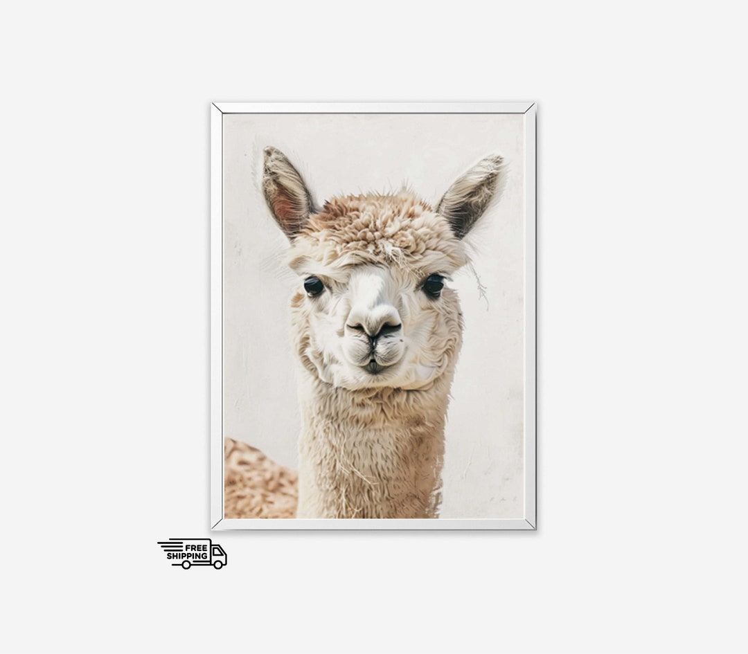 Cute Llama Print, Llama Themed Artwork, Llama Digital Print, Llama ...