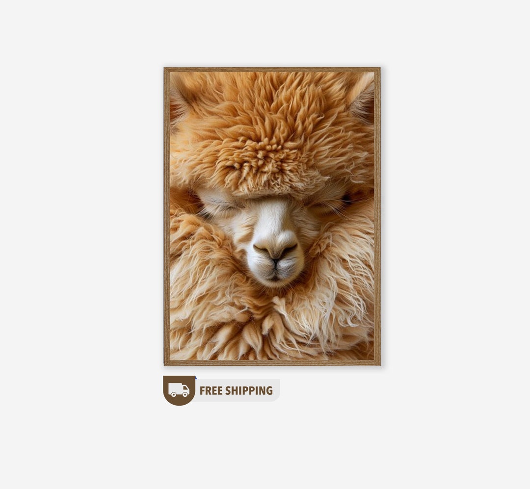 Llama Printable Art, Llama Digital Illustration, Alpaca Face Portrait ...