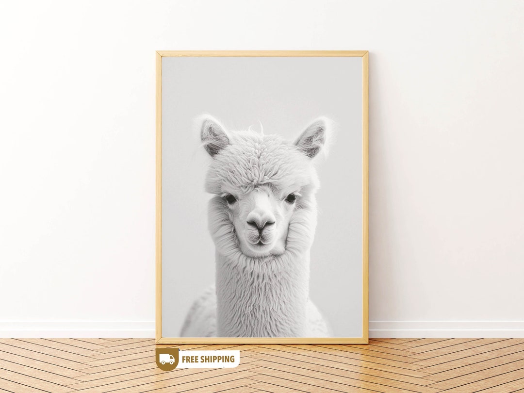 Llama Printable Portrait, Llama Wall Art, Baby Llama Print, Llama ...