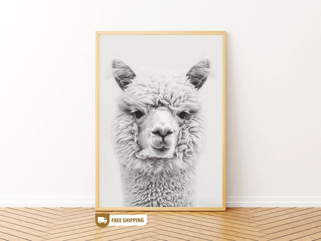 Llama Stare Digital Art, Cute Alpaca Neutral Print, Boho Llama Nursery ...