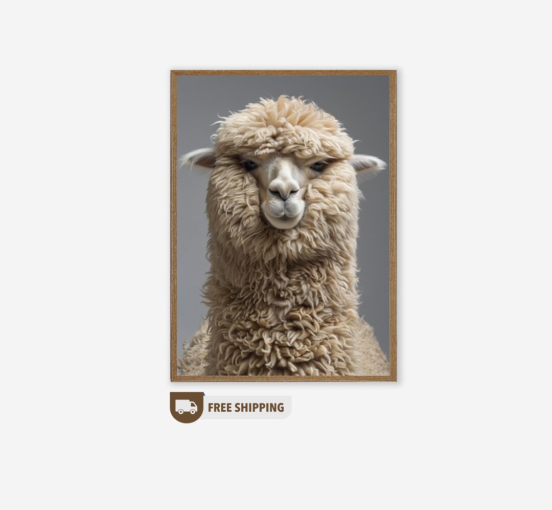 Alpaca Gallery Art, Lily Llama Digital, Llama Artwork Printable Decor ...