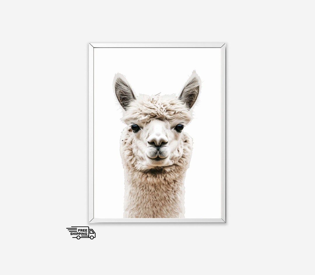 Llama Wall Art, Alpaca Design Print, Llama Vintage Decor, Llama Kid ...