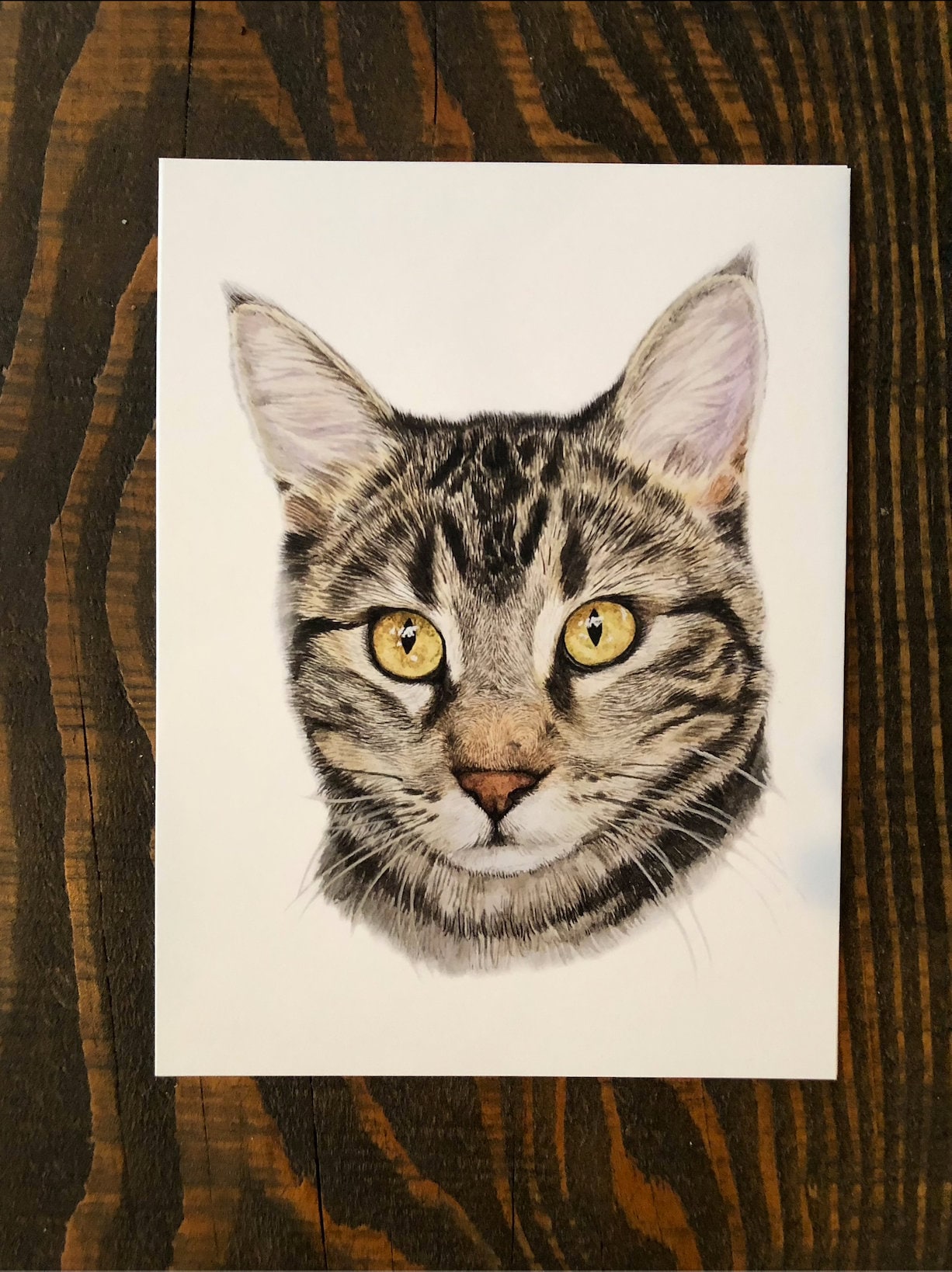 Tabby Cat Art Print - Etsy