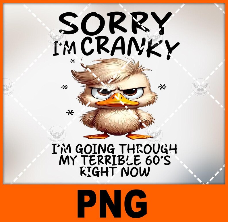 Sorry I Am Cranky I Am Going Through My Terrible 60s Right Now - Grumpy ...