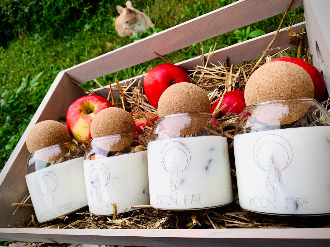 Apple Spice Candle Natural Diffuser Set Fall Home Decor Aromatherapy ...