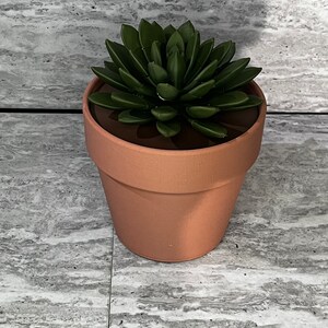 Push Pin Succulent | House Plant Push Pin Holder | Office Decor | Home ...