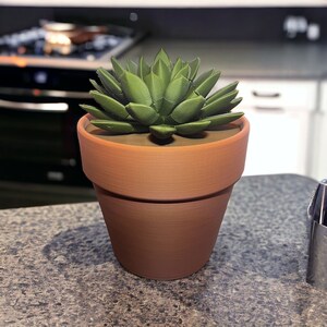 Push Pin Succulent | House Plant Push Pin Holder | Office Decor | Home ...