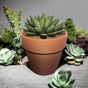 Push Pin Succulent | House Plant Push Pin Holder | Office Decor | Home ...