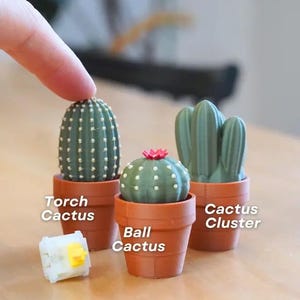 Clicky Cacti | Cactus Fidget Toy - Etsy