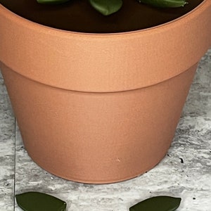 Push Pin Succulent | House Plant Push Pin Holder | Office Decor | Home ...