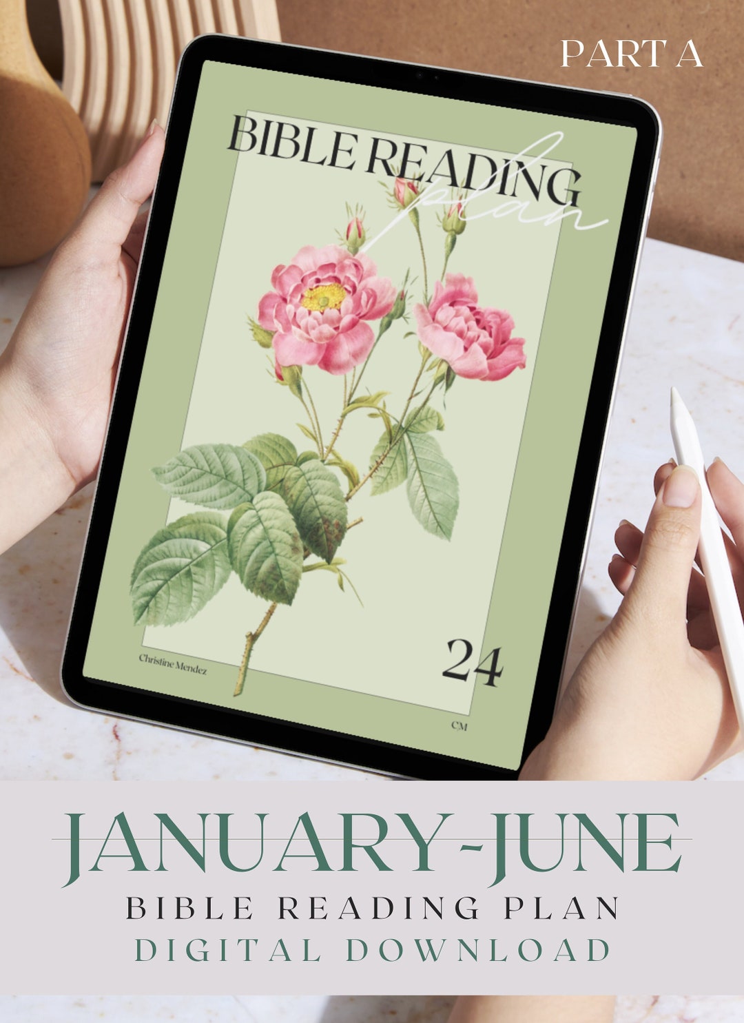 2024 Digital Bible Reading Plan January-june - Etsy