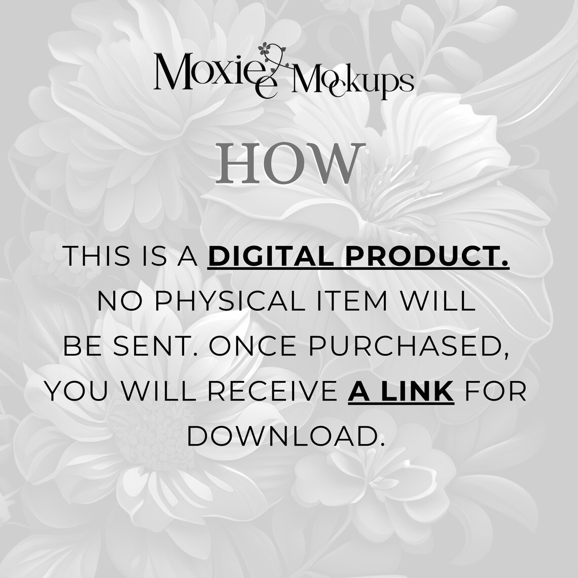 Lane Seven Size Chart, LS14004, Women's Sizing, Instant Download, White ...