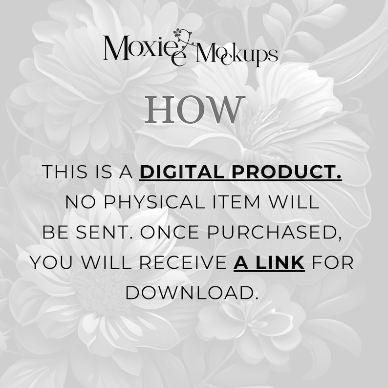 Lane Seven Size Chart, LS14004, Women's Sizing, Instant Download, White ...