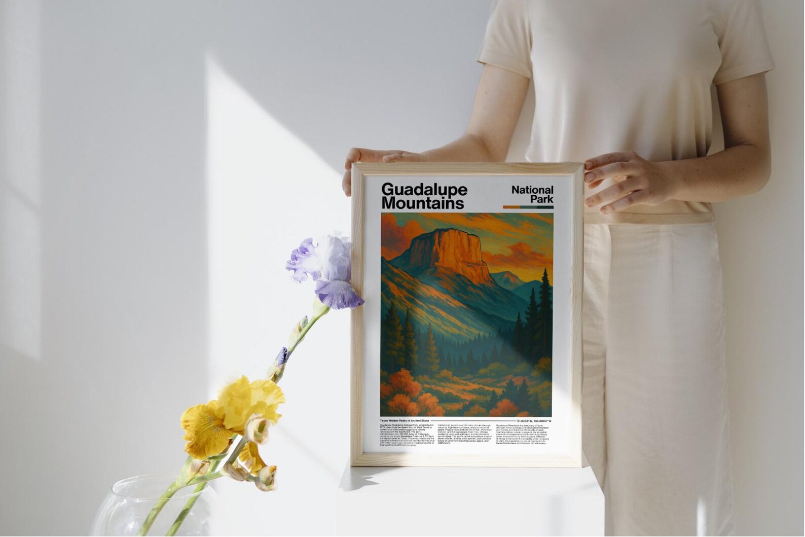 Guadalupe Mountains National Park Poster Digital Design - Vintage ...