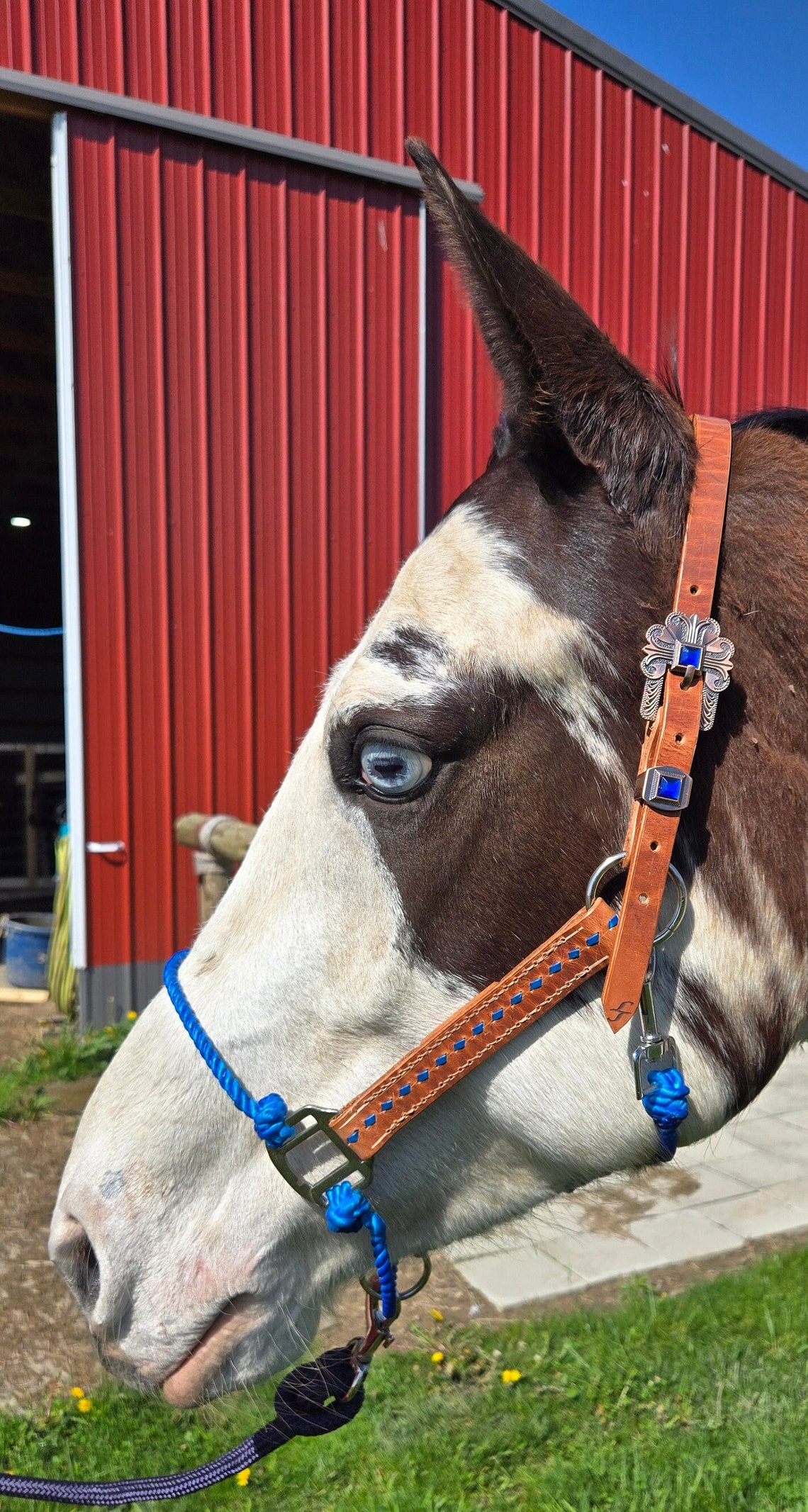 Leather and Rope Halter, Blue Foil Buckstitch, Hand Made in USA, 1 of a ...