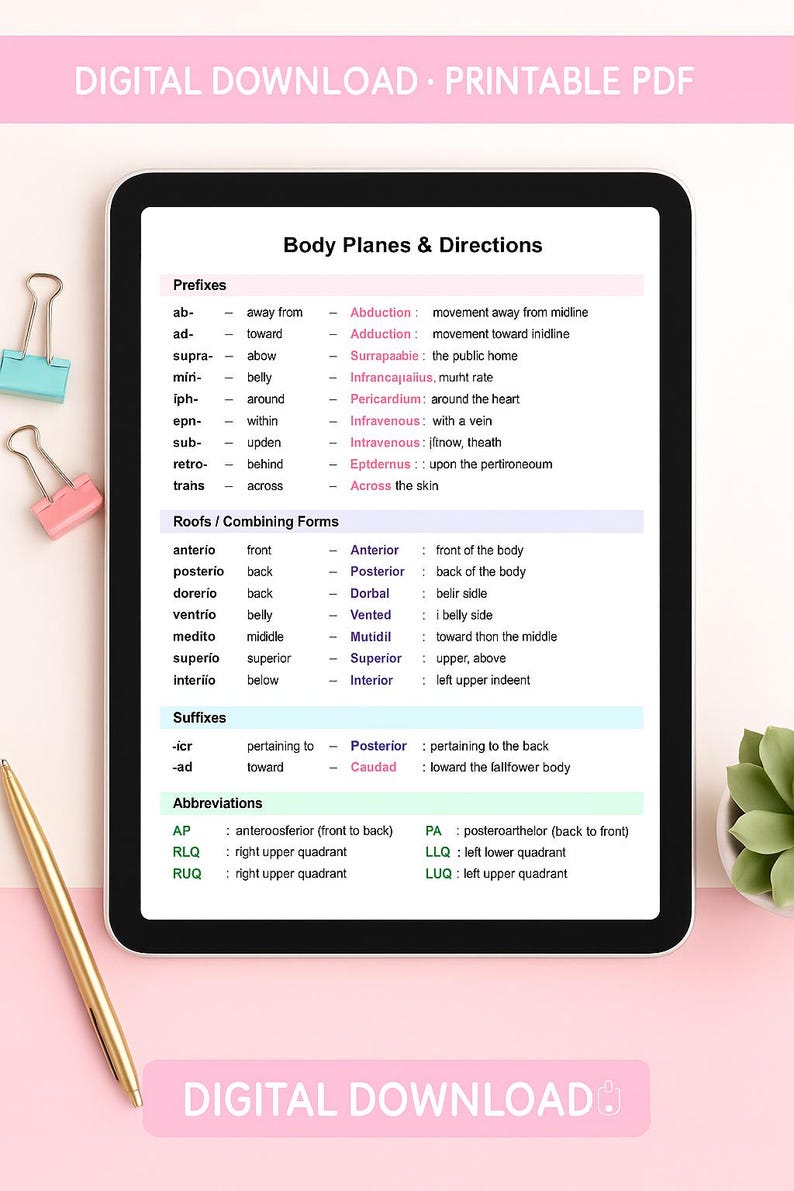 Medical Terminology & Body Systems Study Guide - Etsy