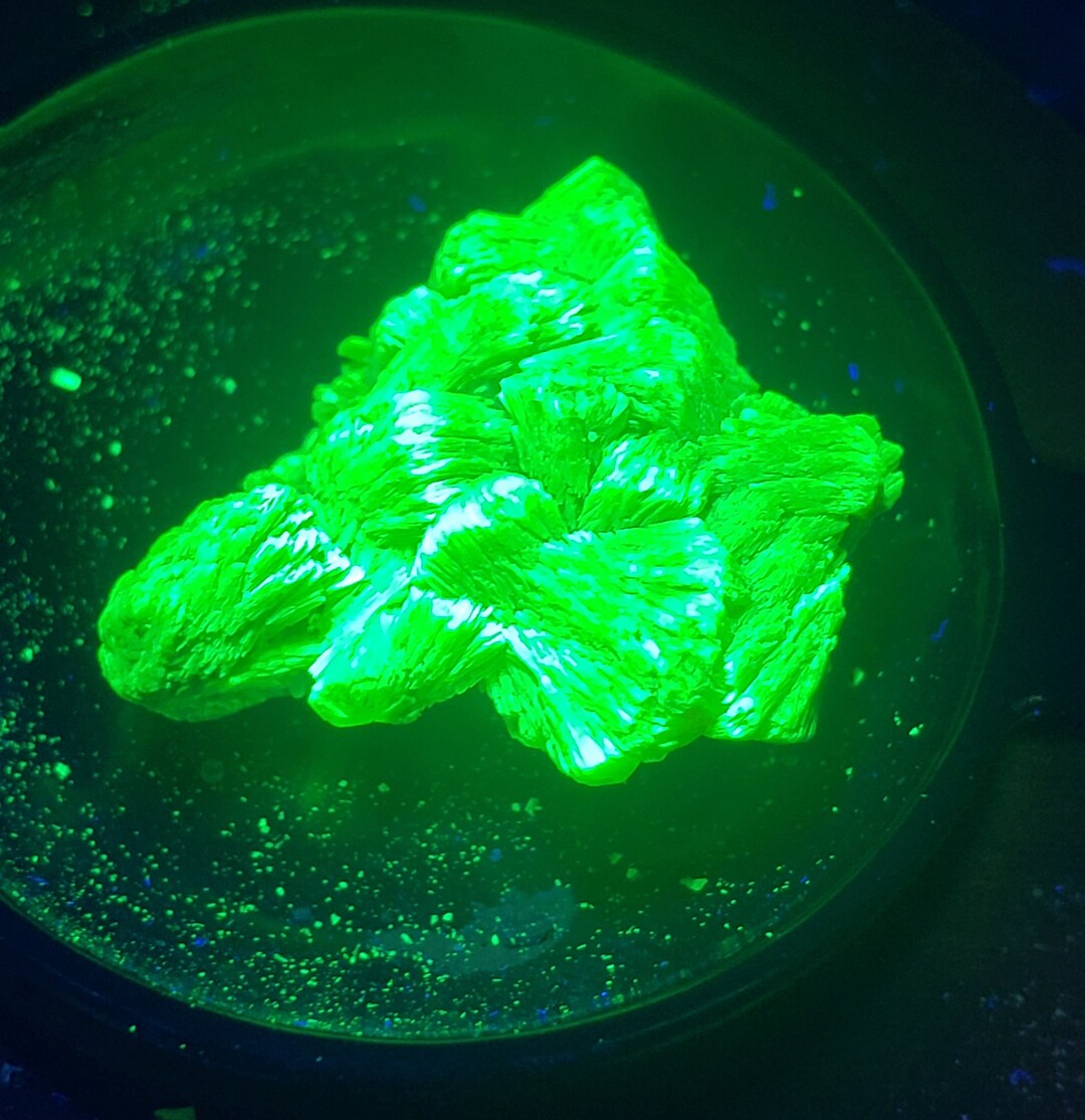 Autunite Uranium Mineral Specimen - Etsy