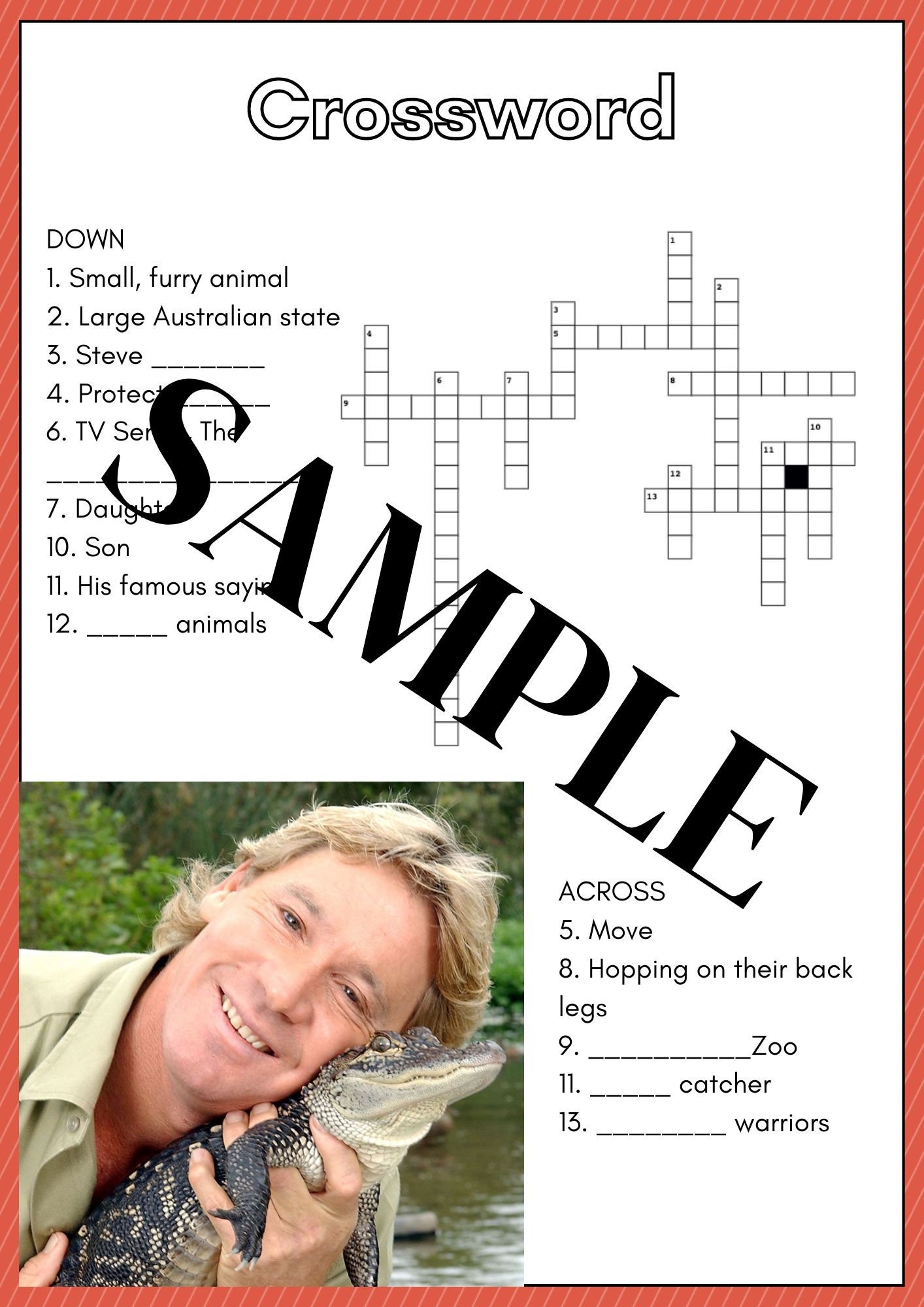 STEVE IRWIN Little People, Big Dreams Steve Irwin Book, Worksheets for ...