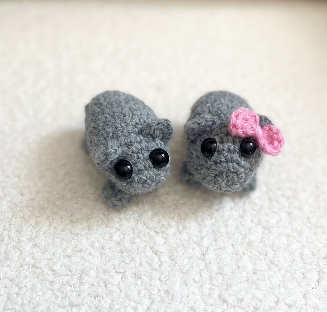 Crochet Mini Boy and Girl Sad Hamster Meme- Tiktok Coquette Hamster ...