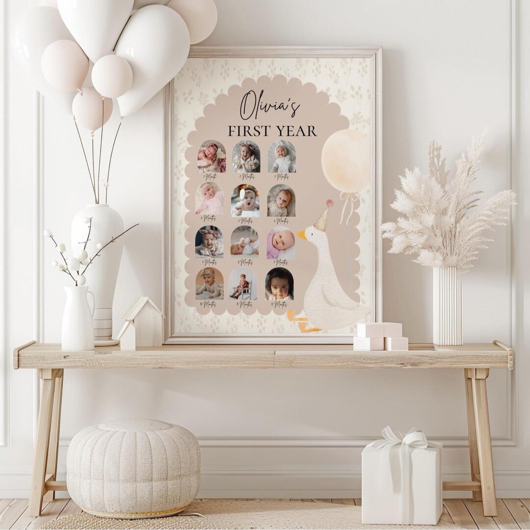 ONE Silly Goose Birthday Party Milestone Board,first Birthday Party ...