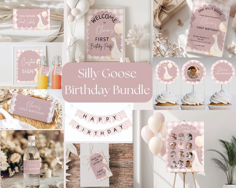 Silly Goose First Birthday Party Bundle: Pink Decor (editable Template ...