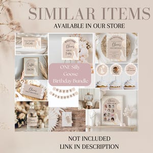 ONE Silly Goose Birthday Party Milestone Board,first Birthday Party ...