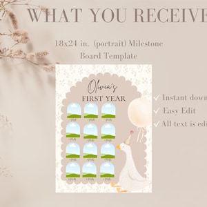 ONE Silly Goose Birthday Party Milestone Board,first Birthday Party ...