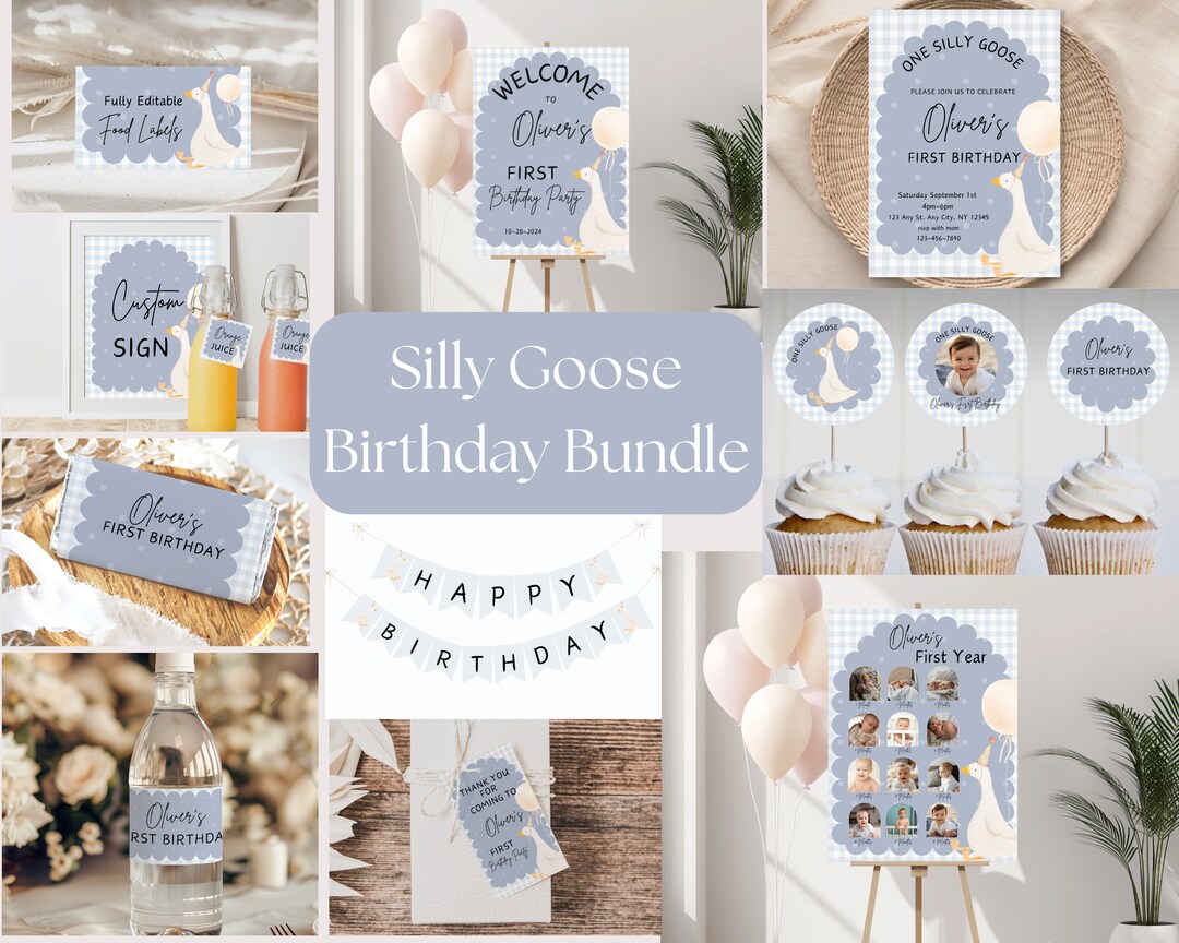 ONE Silly Goose Birthday Party Bundle,first Birthday Party Decor,1st ...
