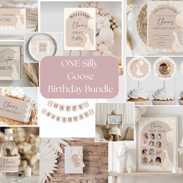 Silly Goose Birthday Party - Etsy