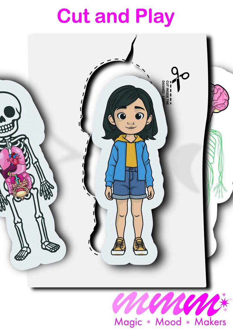 Human Anatomy and Body Systems for Kids, Printable Anatomy Flashcards ...