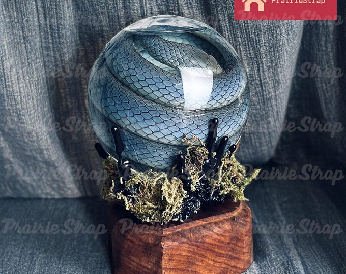 Real Snake Specimen Decoration, Preserved Green Tree Snake in Original ...
