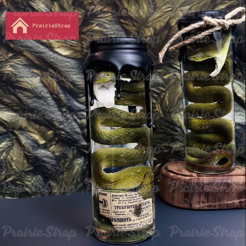 Wet Specimens - Etsy