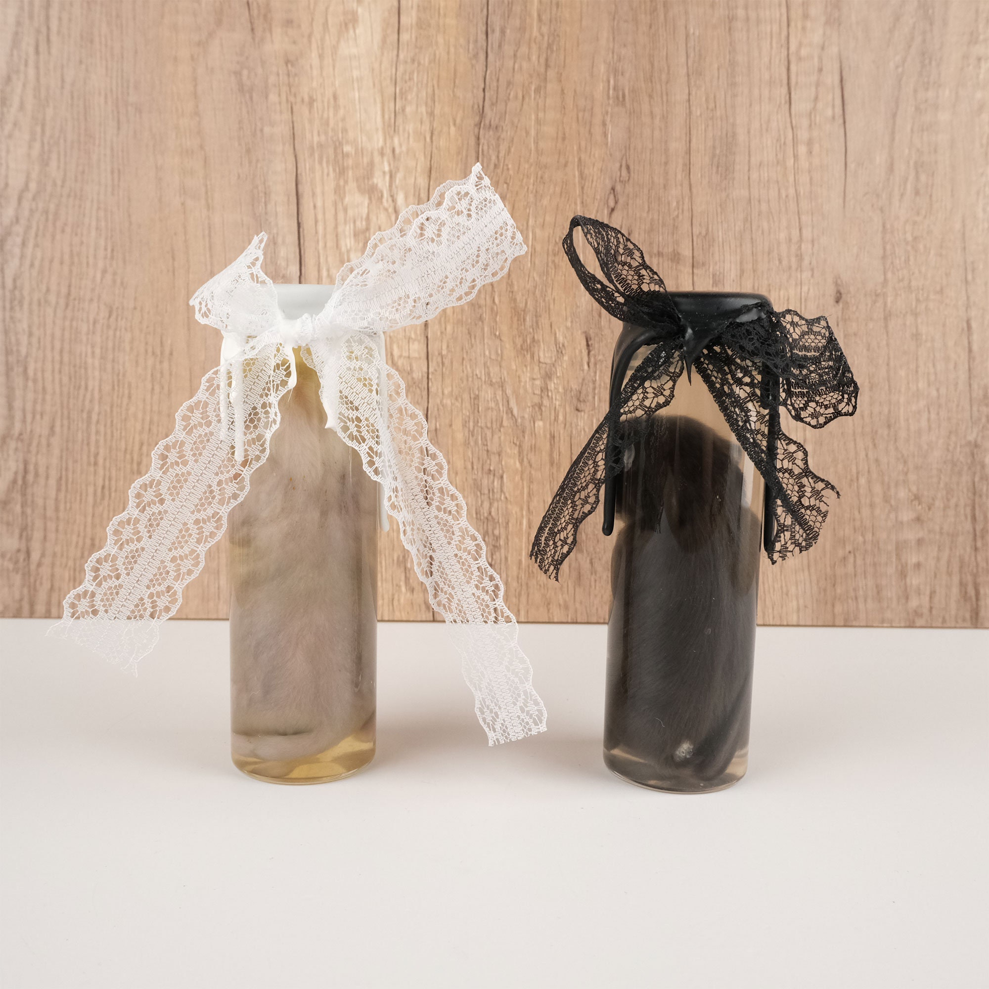 Baby Fox Specimen in Liquid, Cute Fox glass Jar, Taxidermy Fox, Natural ...