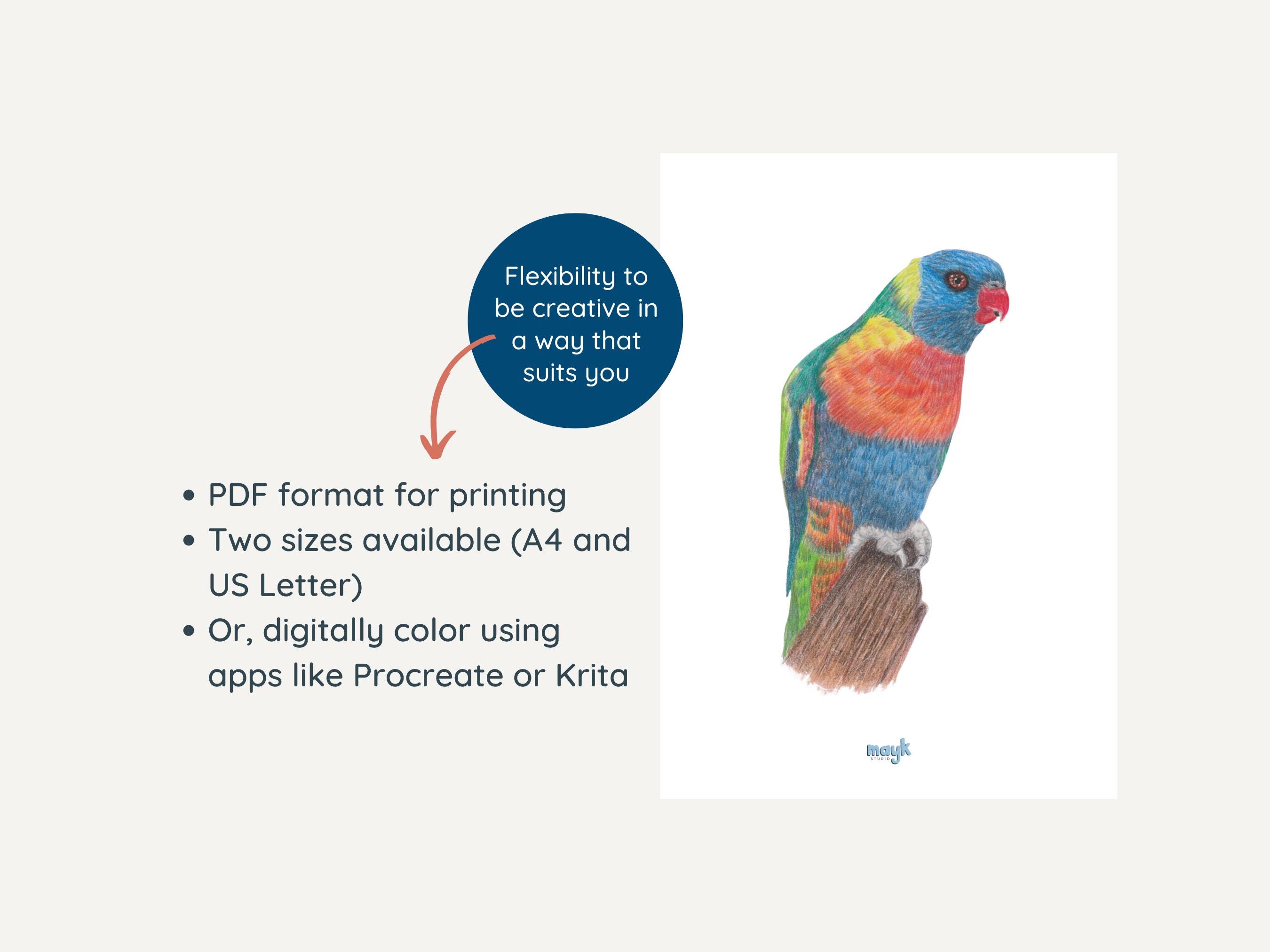 Australian Birds Coloring Book | Coloring Pages for Adults | 6 X ...