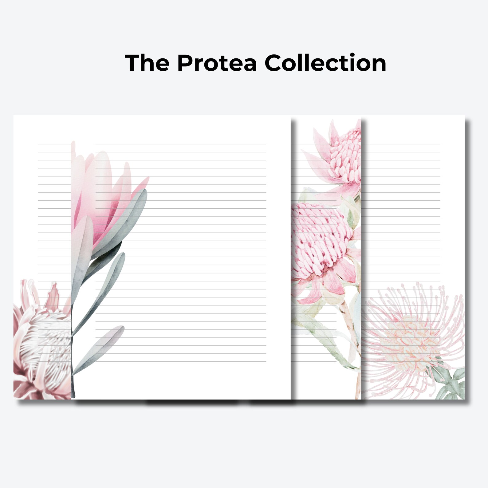 PRINTABLE Stationery, Printable Letter Writing Stationery | Botanical ...