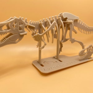 3D T-rex Fossil 12.5" Puzzle Kit Card - Etsy